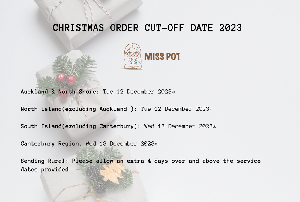 Miss Pot | Plant Pottery | Plant Pots – Miss Pot NZ